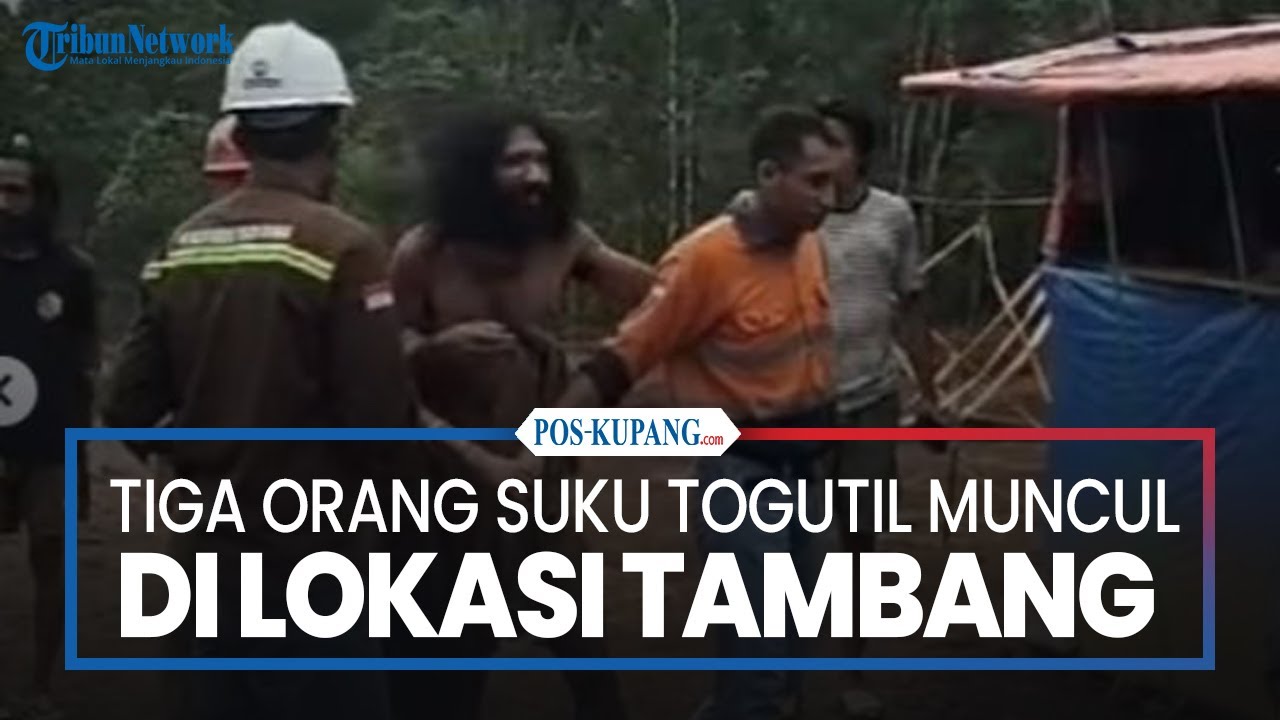 Tiga Orang dari Suku Togutil Muncul di Lokasi Tambang - YouTube