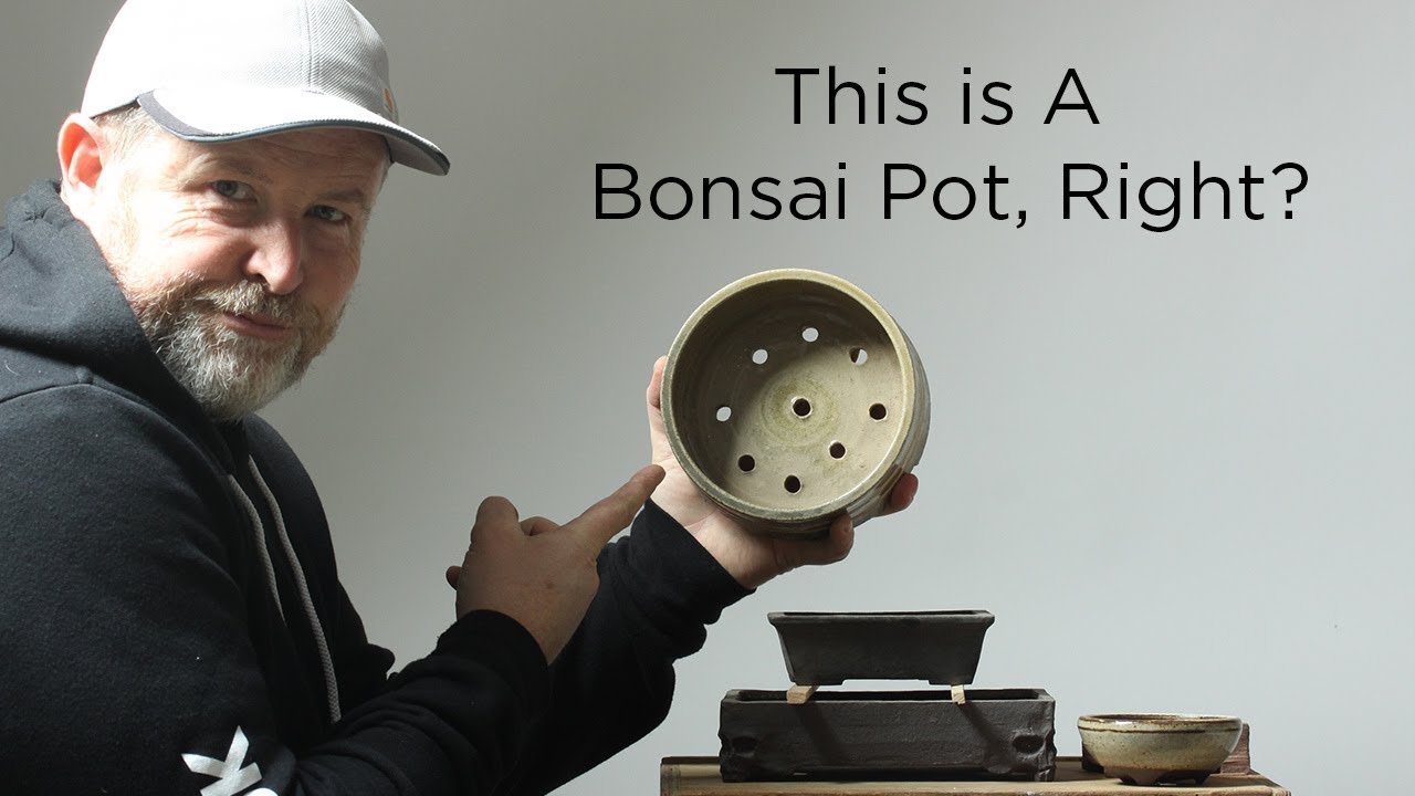 Bonsaify | Learning About These Details Will Make Your Bonsai Pots ...