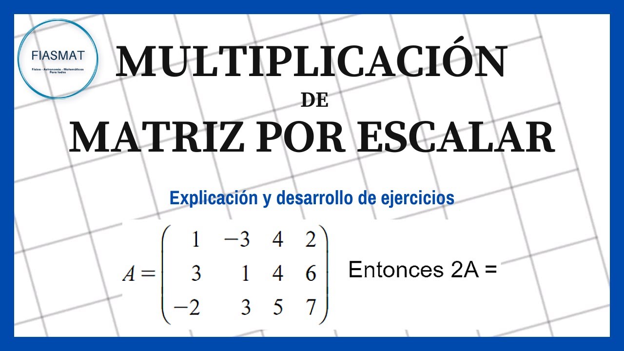 Multiplicación De Una Matriz Por Un Escalar Ejercicios Resueltos