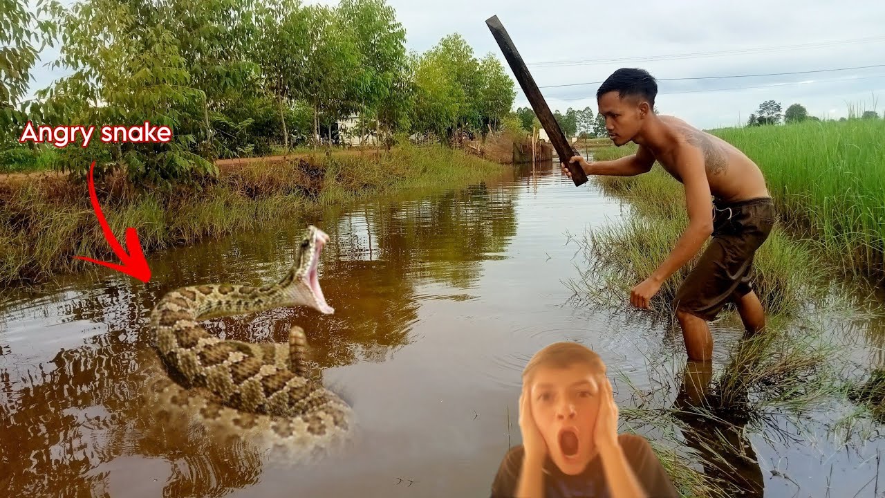 Unbelievable guy Fishing and Hunting Big snake in the river - YouTube