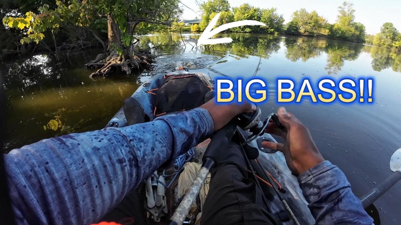 This BASS is a TOAD: SLAMS THIS JIG - YouTube