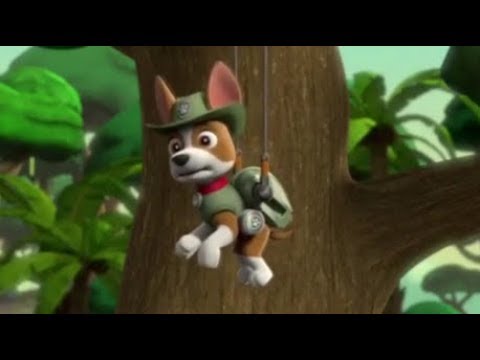 Paw Patrol - Pups Save Monkey-Dinger - Clip - YouTube