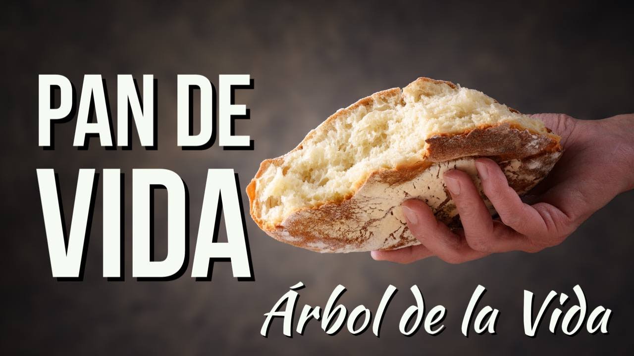 PAN DE VIDA (cover) PR PABLO - YouTube