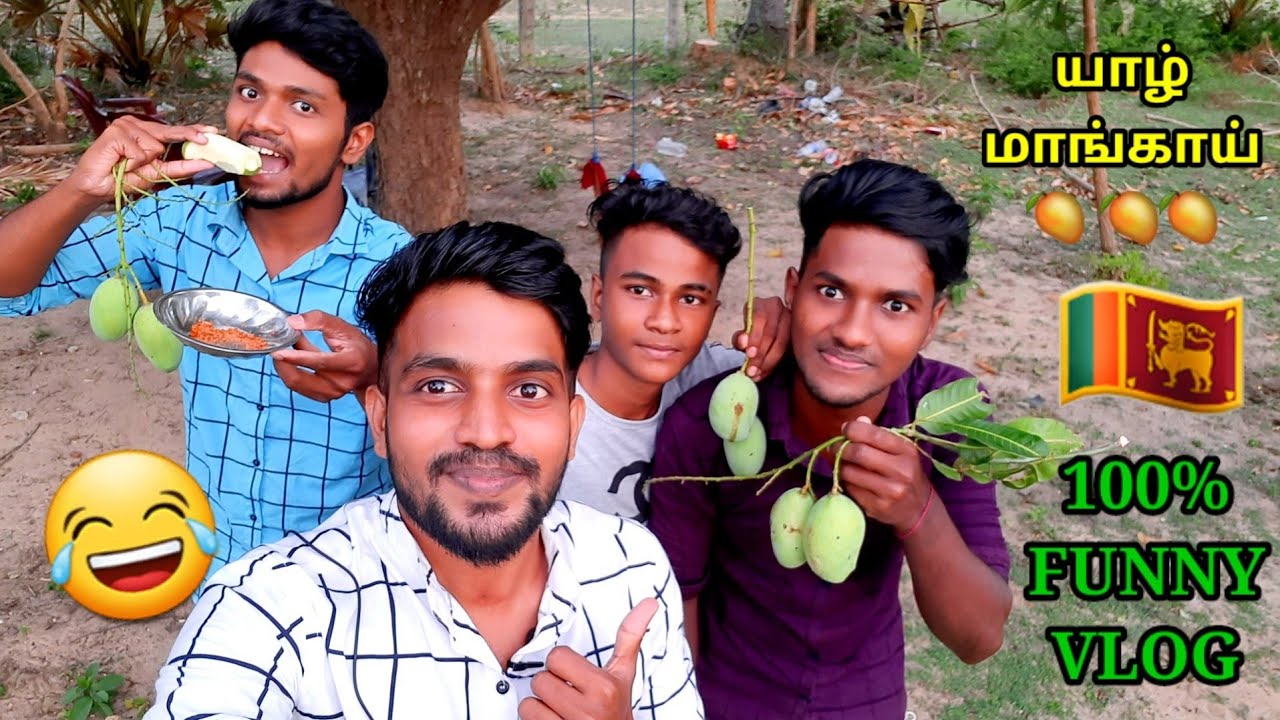 யாழ்ப்பாண மாங்காய் | Jaffna Mango Eating | Funny Vlog | Point pedro ...