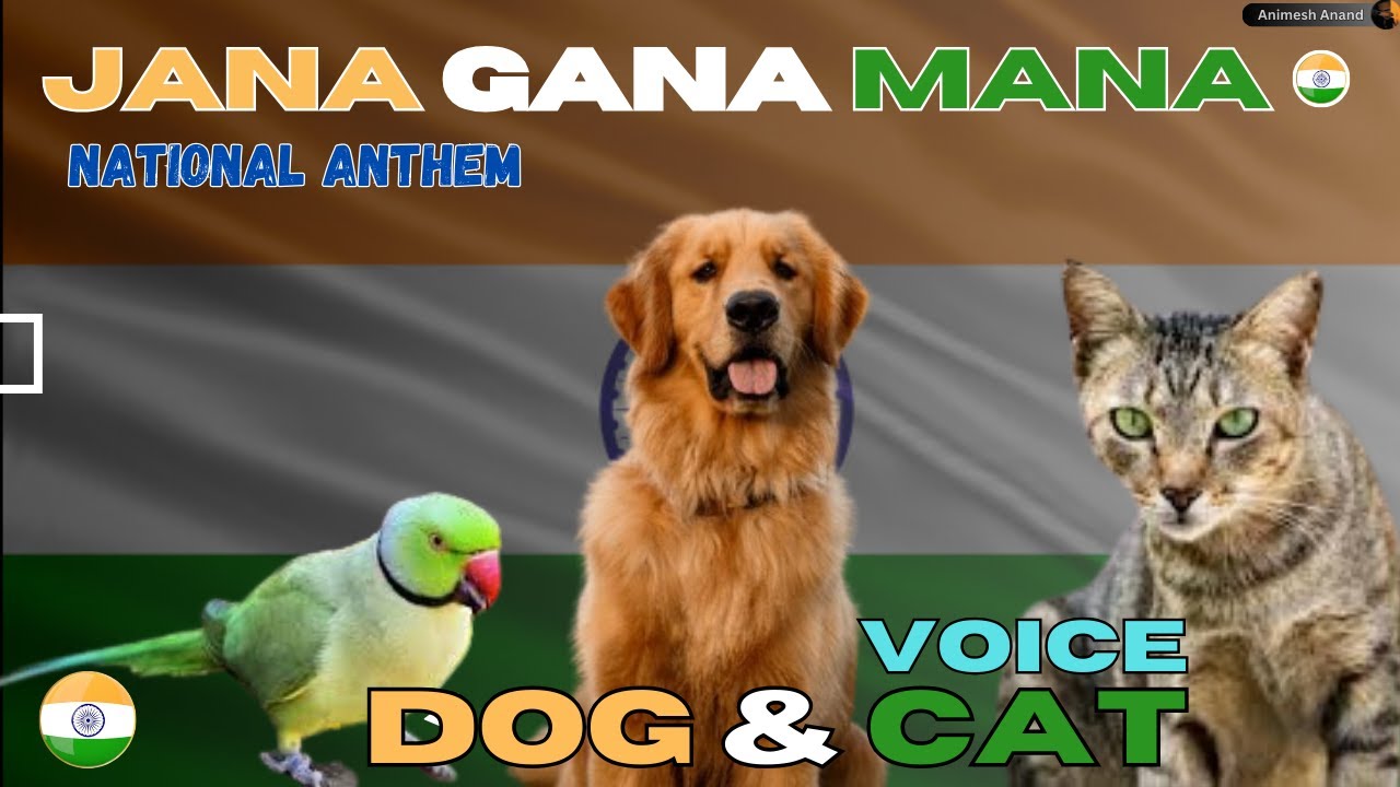 Jana Gana Mana | National Anthem - Dog & Cat Voice {Animesh Anand ...