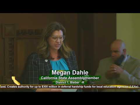 Assemblywoman Megan Dahle - AD01