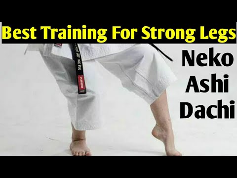 Shotokan Karate Stance Neko Ashi Dachi | Weight Training For Strong ...