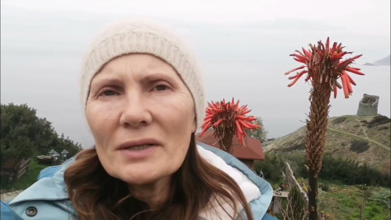 Не в деньгах счастье 🥲 - YouTube