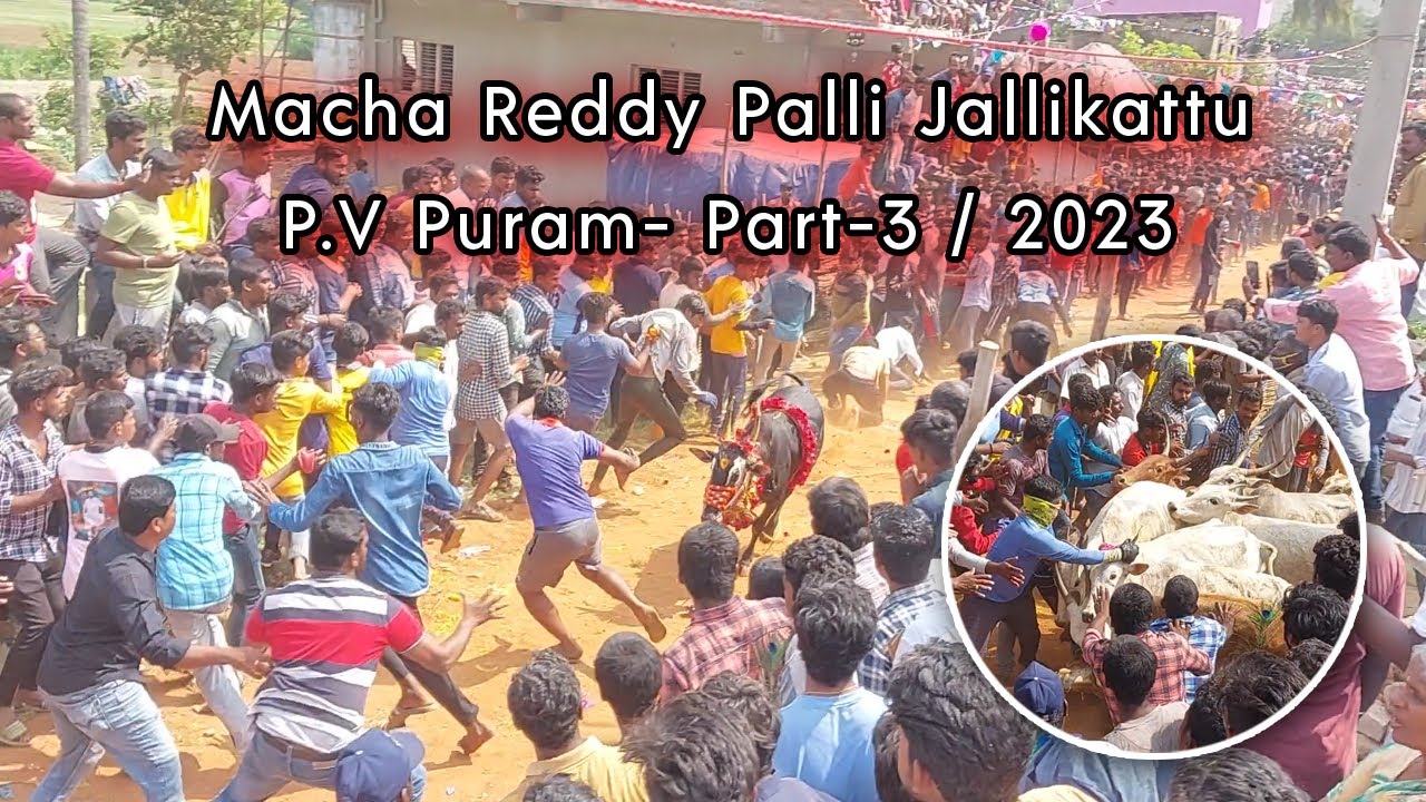 P.V Puram Jallikattu 2023 | Macha Reddy Palli - Part-3 | మచ్చా రెడ్డి ...