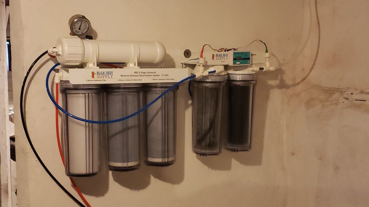 Quick rodi explanation - YouTube