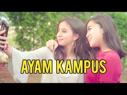 Ayam Kampus, Tipsen, Prospek MLM dll (Tipe2 Mahasiswa)