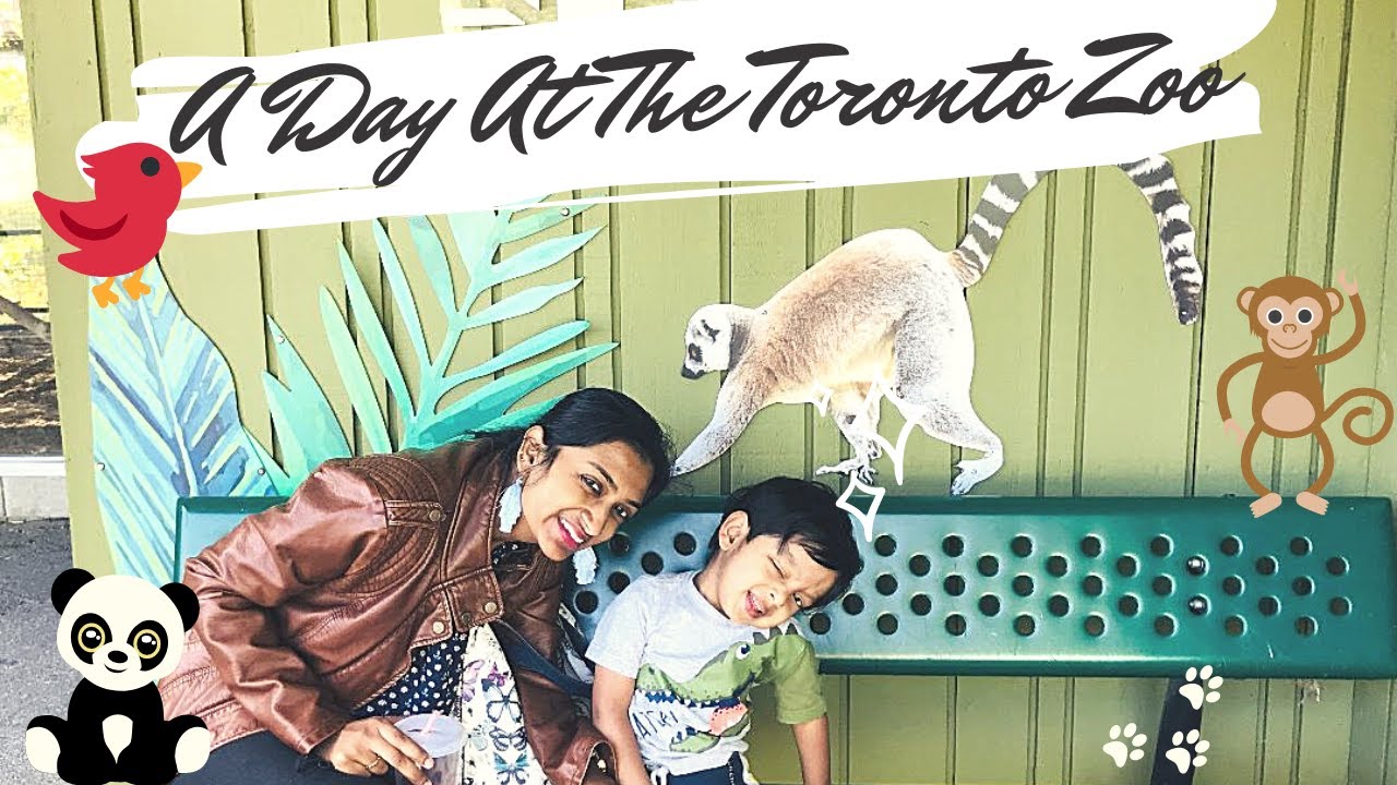 2020 TORONTO ZOO WALKTHROUGH/ TORONTO ZOO| MILLENNIAL MOMMY - YouTube