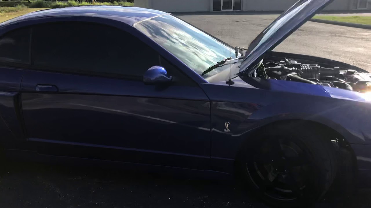 Cobra terminator - YouTube