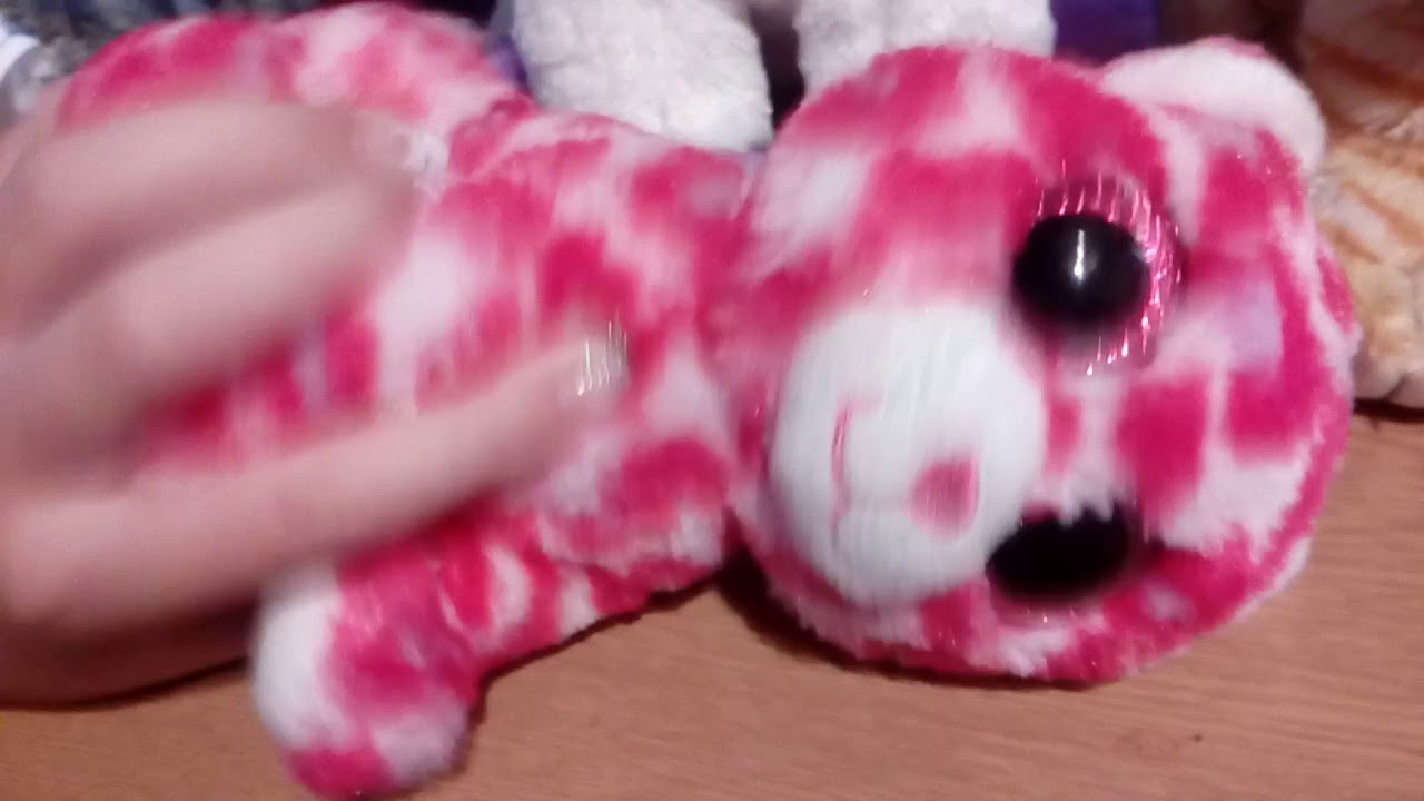 Plush family part 1 🐩😿😿🐞🐎🐶 - YouTube