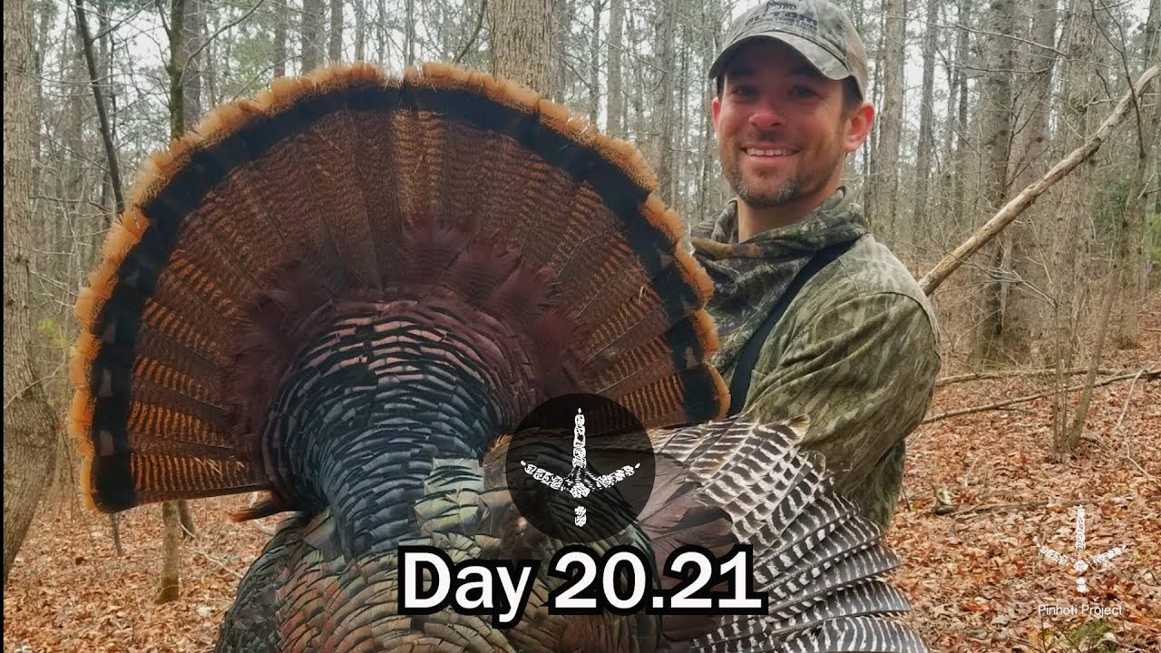 GEORGIA PUBLIC LAND TURKEY HUNTING_ ALMOST UNDER A GOBBLER_MORE ...