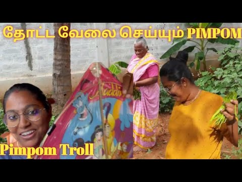 Pimpom lifestyle | Cleaning Our Garden | Mop | Pimpim Troll - YouTube