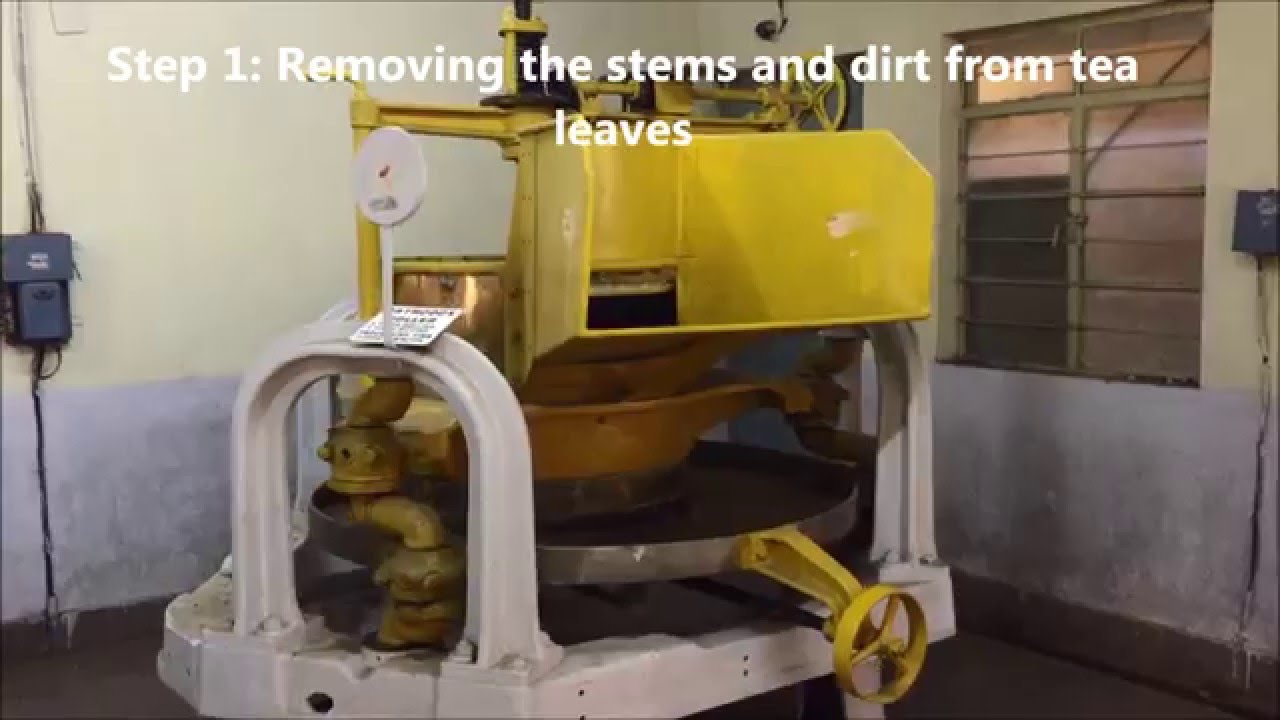 Tata Tea - Inside the Munnar Tea Factory | How tea is produced | Kerala ...