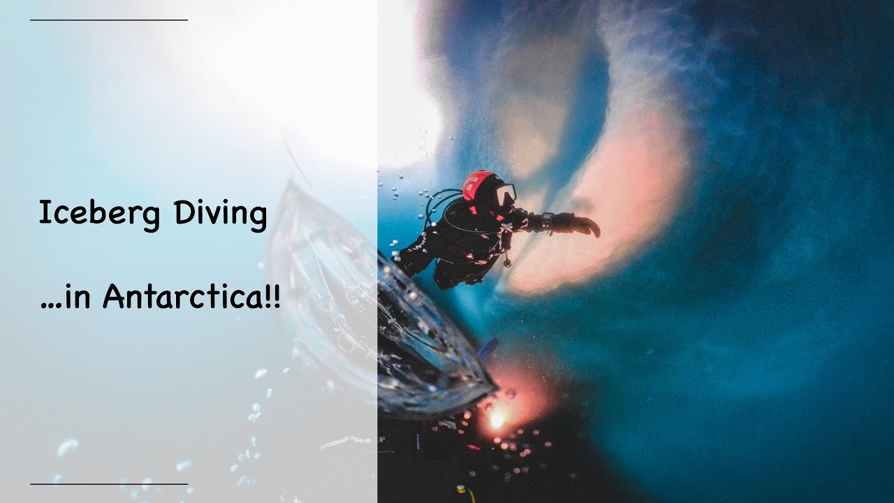 ICEBERG Diving in ANTARCTICA 🇦🇶 - YouTube