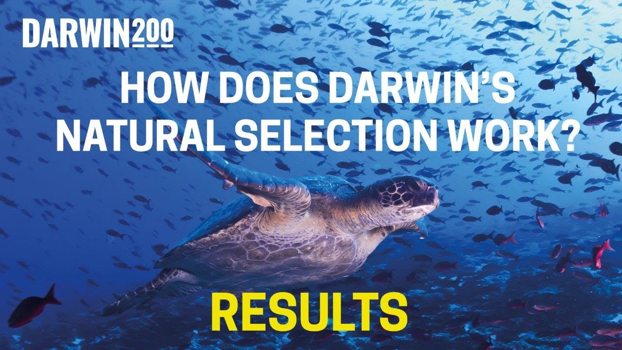 RESULTS - How Does Natural Selection Work? (Segment from World's Most ...