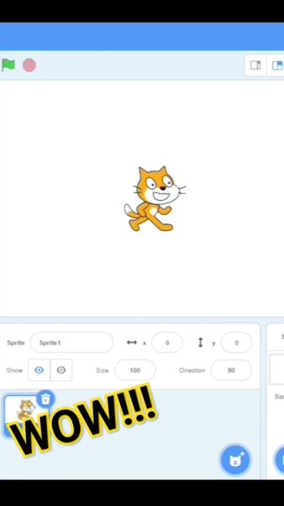 Hide and Show blocks🐱🐾 #scratchtutorials #learning #scratch #coding # ...