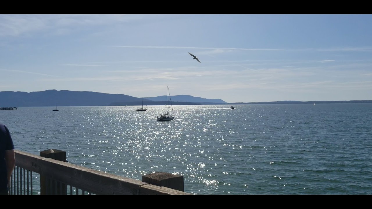 Visiting Boulevard Park looking over the beautiful Bellingham Bay in ...