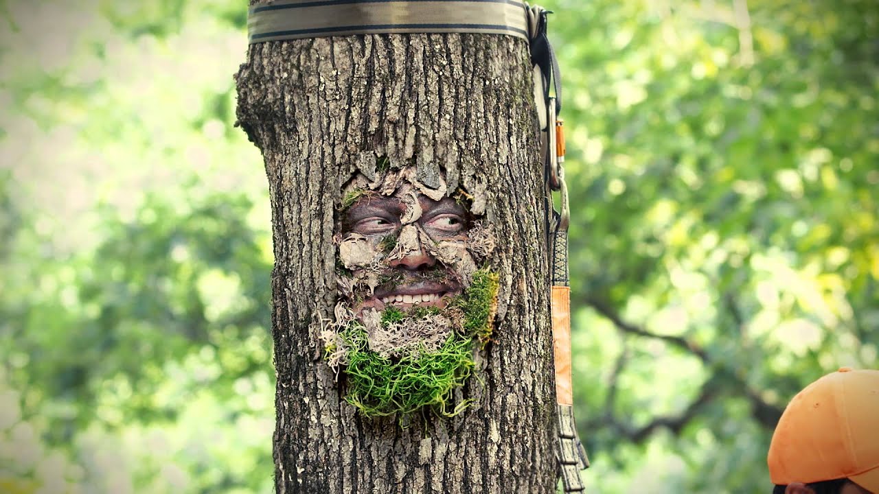 Arkansas Game and Fish Commission "Tree Stand Safety - Haul Line" - YouTube