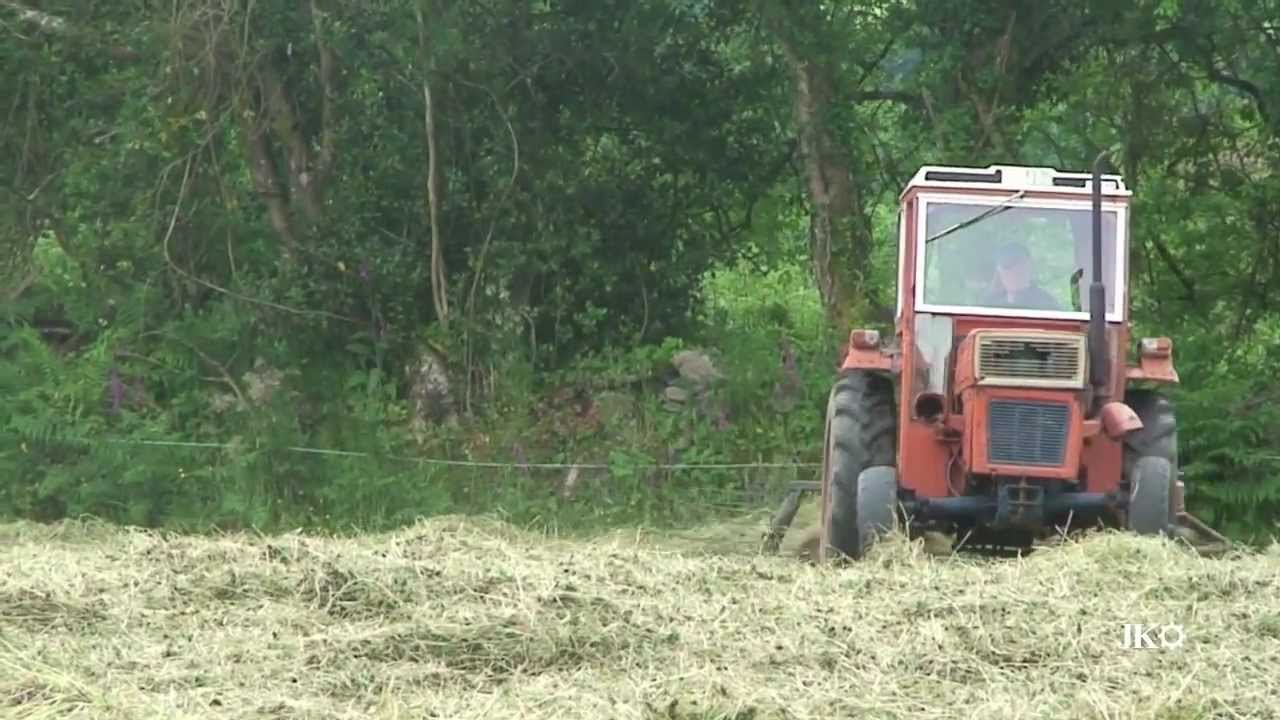 UNIVERSAL UTB TRACTOR & VICON 300 HAYBOB - YouTube