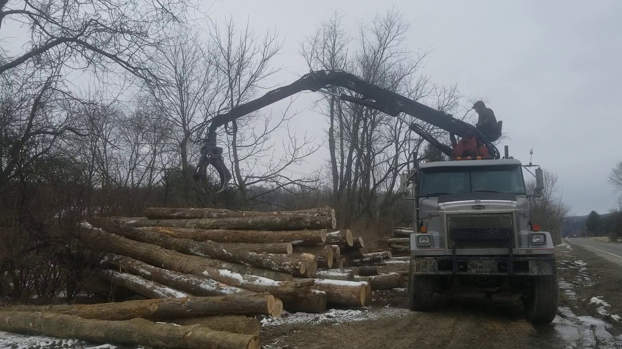 Sorting logs, pulp, scragg - YouTube