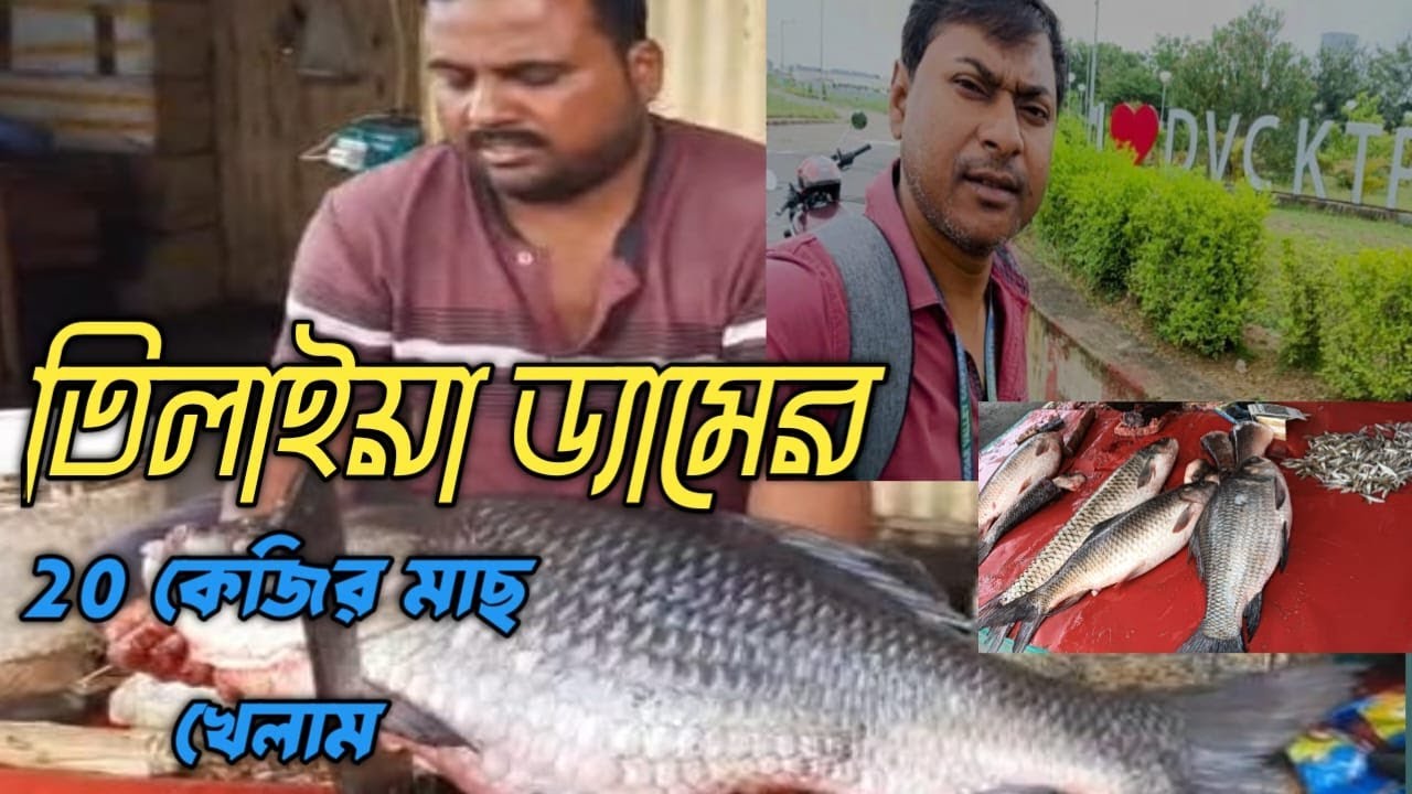 Fish In Rainy Season//Fish In Dam//Fish Video - YouTube