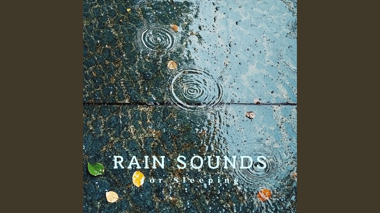Chill Rain Sounds for a Calm Night - YouTube