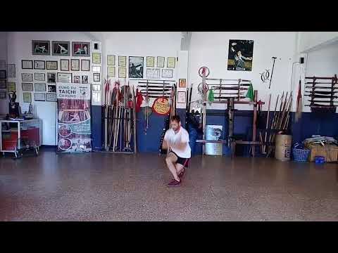 少林罗汉十八掌 Shao Lin Luo Han Shi Ba Zhang - Profesor Maximiliano Mazzitelli ...