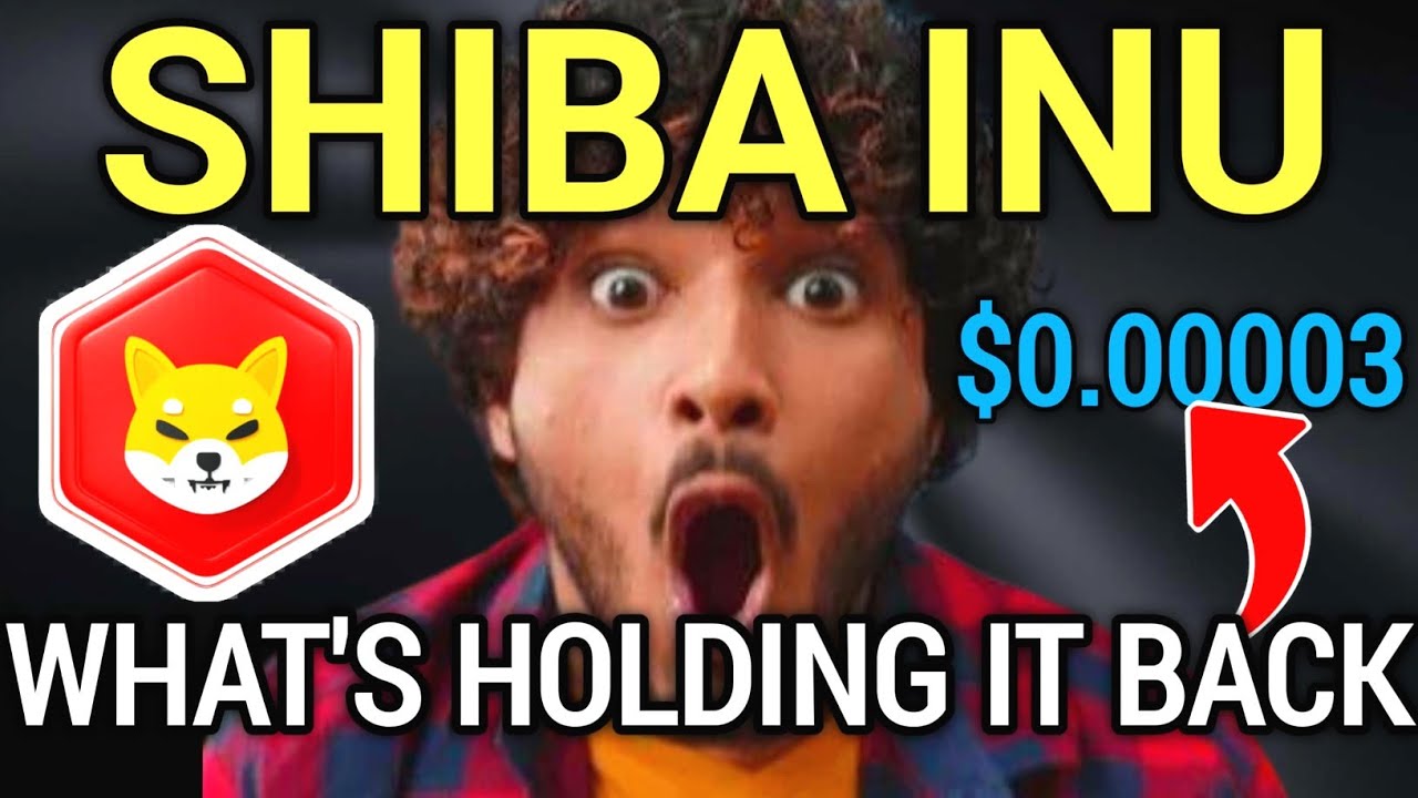 Shiba Inu Coin $0.00003 Barrier: What's Holding It Back? - YouTube