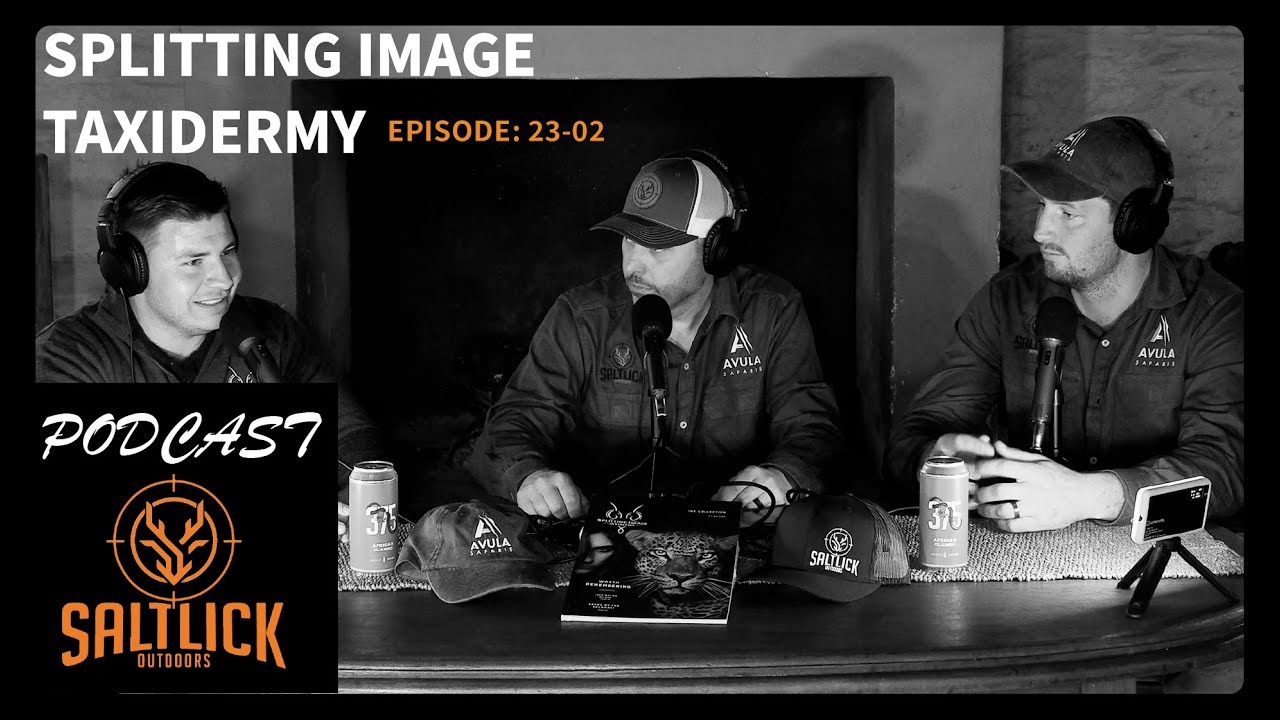 Splitting Image Taxidermy - Podcast / 23-02 - YouTube