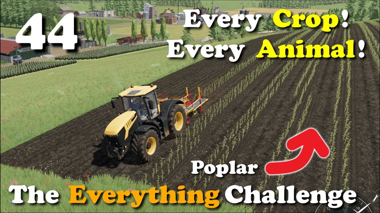 POPLAR IS OUR LAST CROP! - Everything Challenge #44 - FS22 + Premium ...