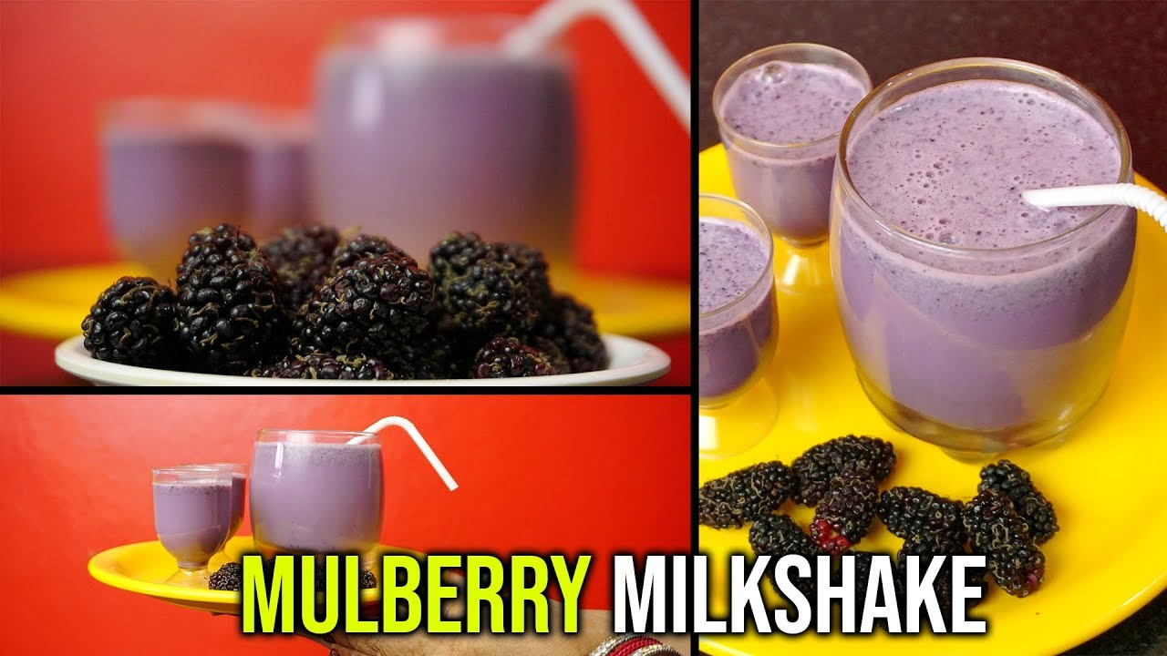 Mulberry Milkshake- Tasty & Healthy Milkshake Recipe - YouTube