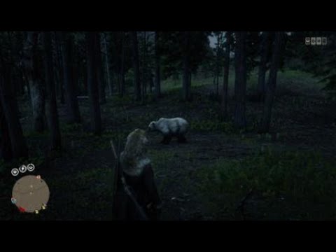 Owiza Bear RDO - YouTube