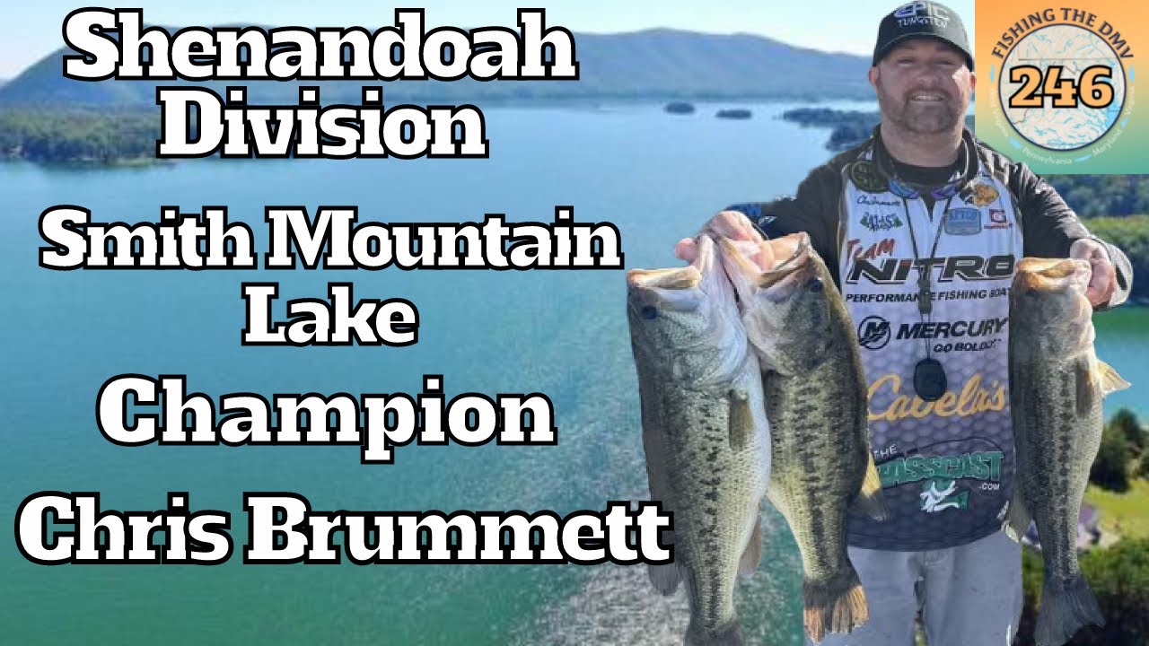 Smith Mountain Lake Spring Bass Fishing with Shenandoah Division BFL ...