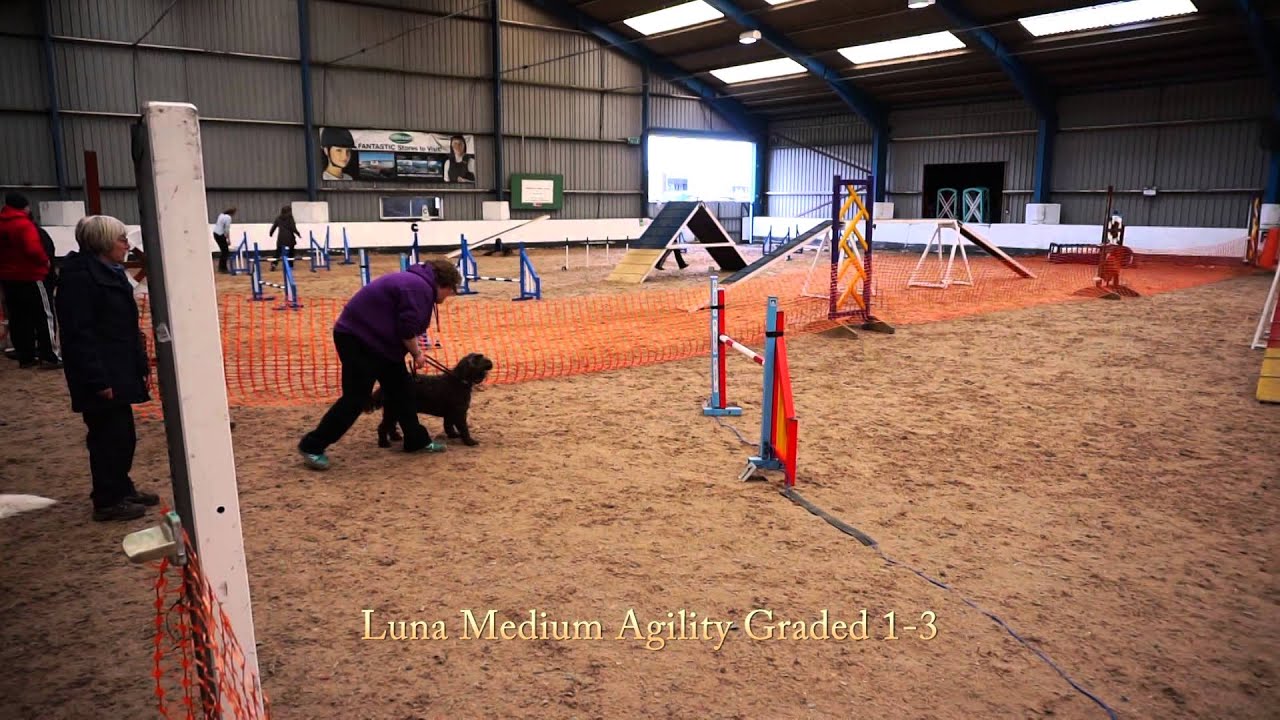 Merlin and Luna, Adams March 2015 - YouTube