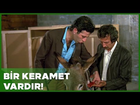 Köşeyi Dönen Adam Türk Filmi | Adem'e Kala Kala Amerikan Eşeği Miras Kalıyor!