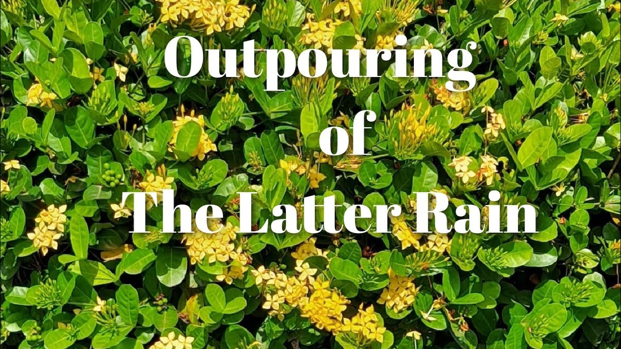 Outpouring of the Latter Rain, November 24 - YouTube
