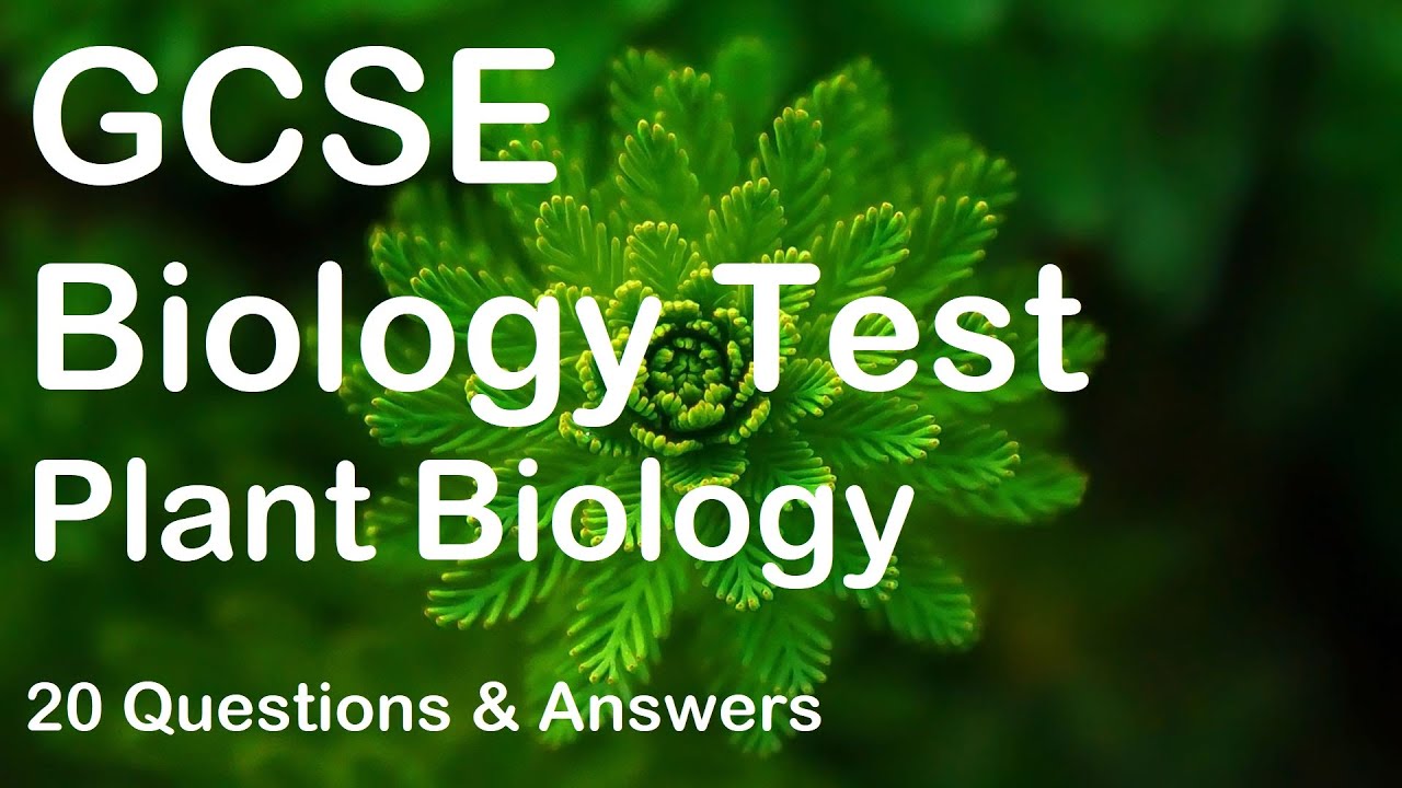 20 GCSE Plant Biology Questions & Answer - test yourself and learn ...