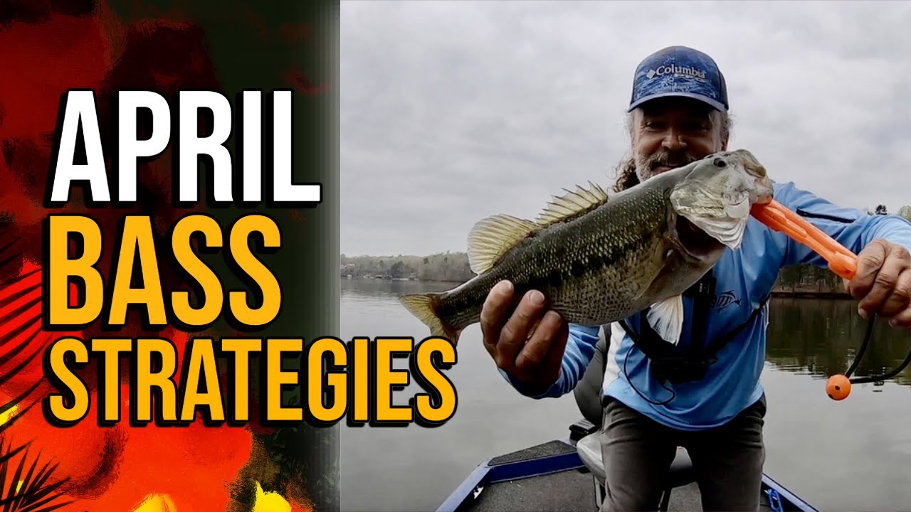 April Bass Strategies #lakelanierfishing2024 #bassfishing #spottedbass ...
