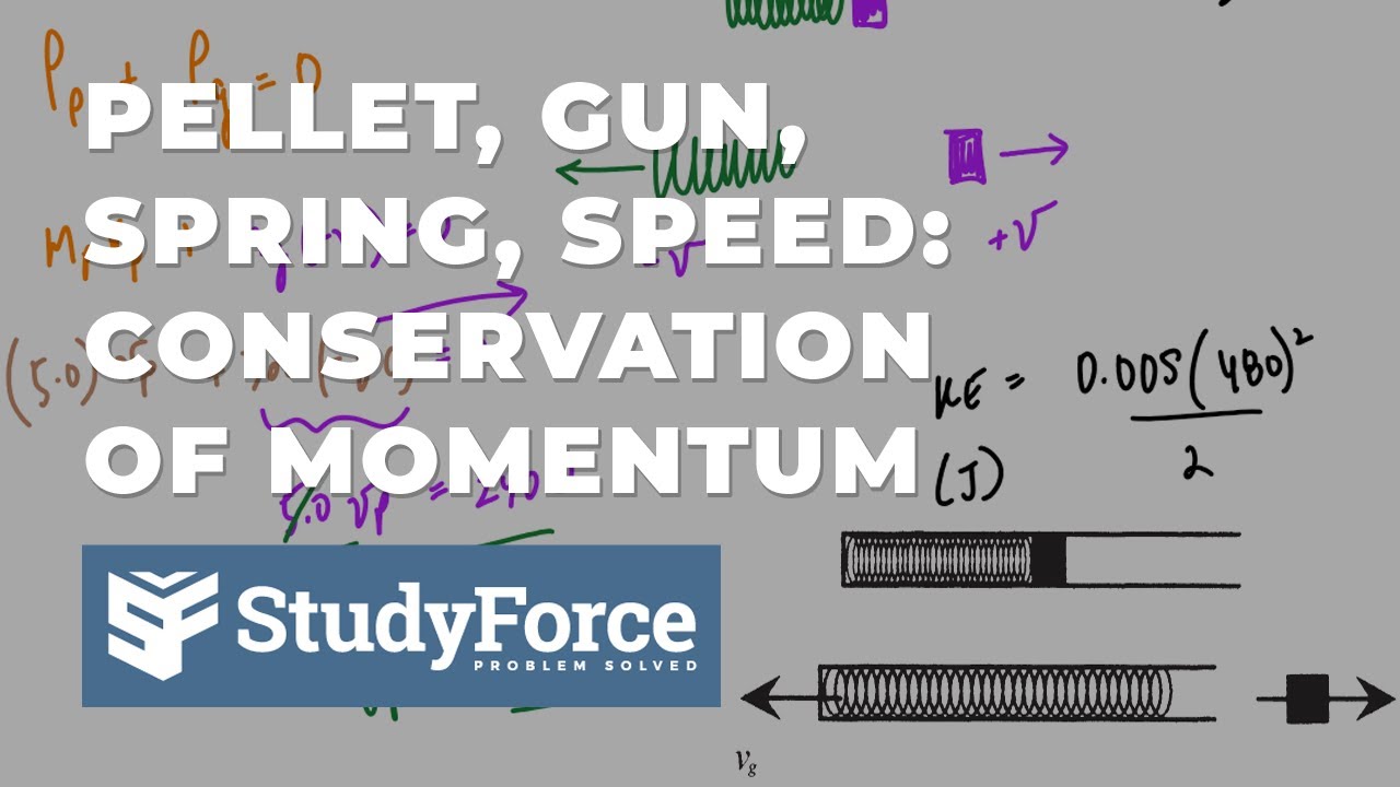 Pellet, Spring, Speed Example | Law of Conservation of Momentum - YouTube