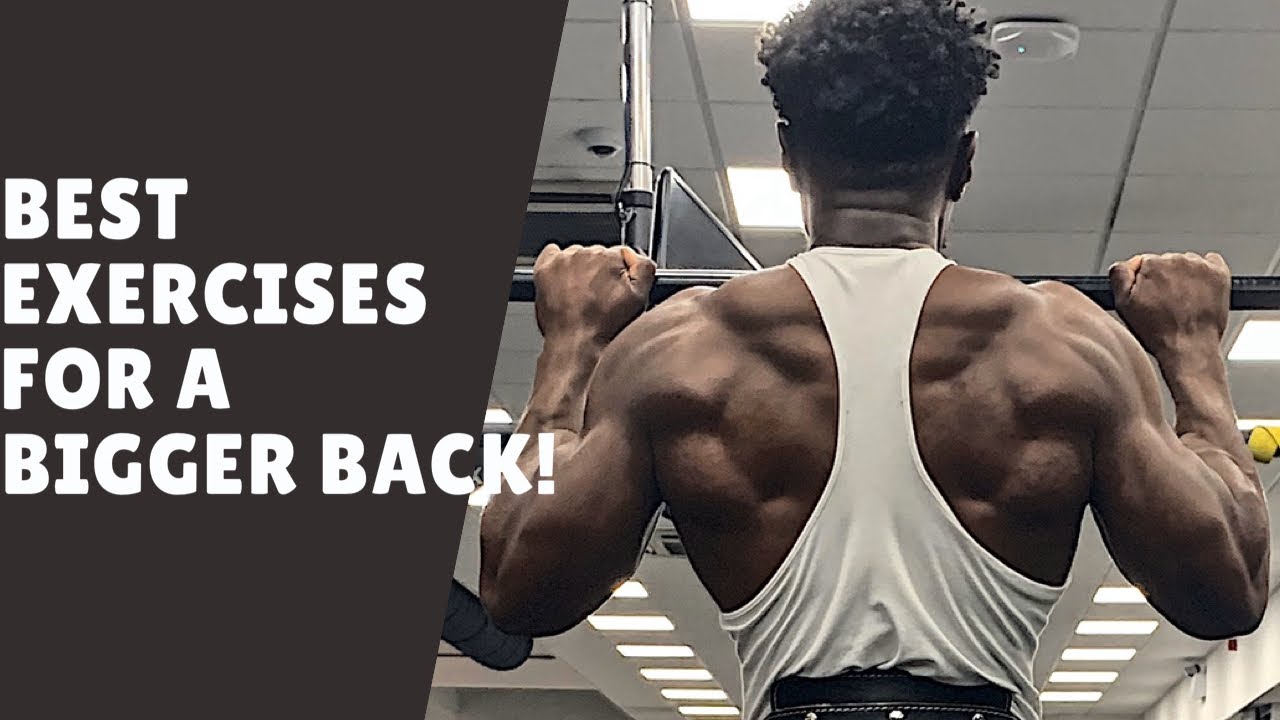 BEST EXERCISES TO BUILD YOUR BACK! - YouTube