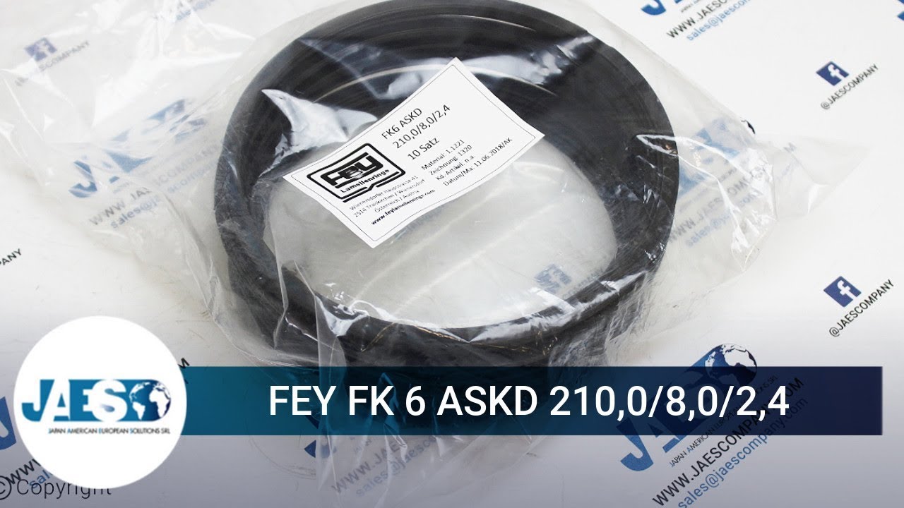 FEY FK 6 ASKD 210,0/8,0/2,4 - Laminar sealing rings - Anelli di tenuta ...