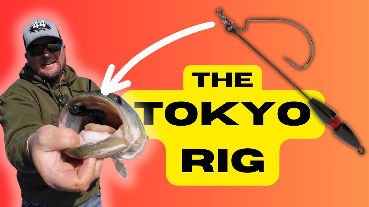The TOKYO RIG Is Way Underrated!! Why Are The Pro’s Keeping THIS A ...