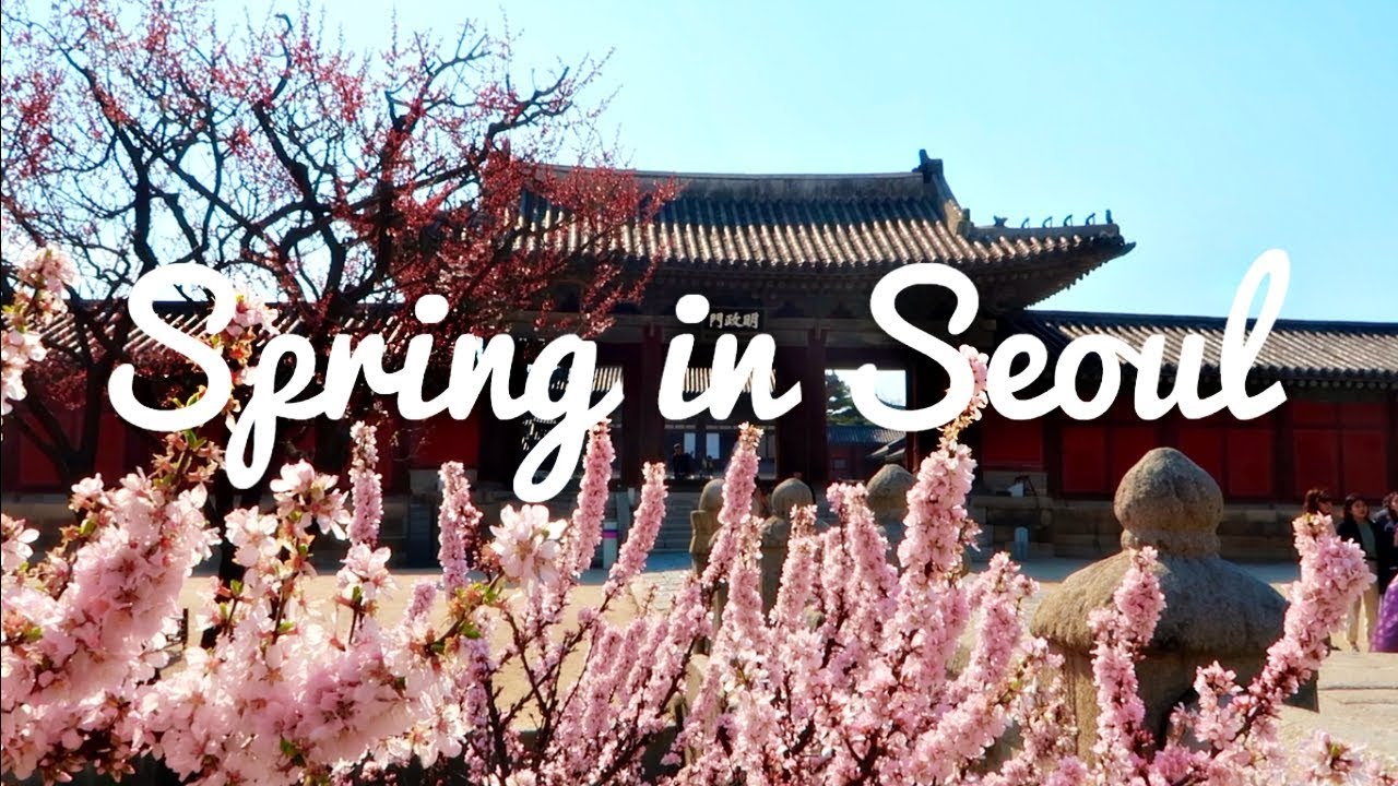 🌸 Spring in Seoul 🌸 - YouTube