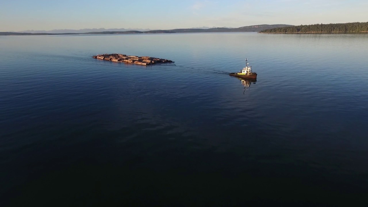 Pacific Hawk - YouTube