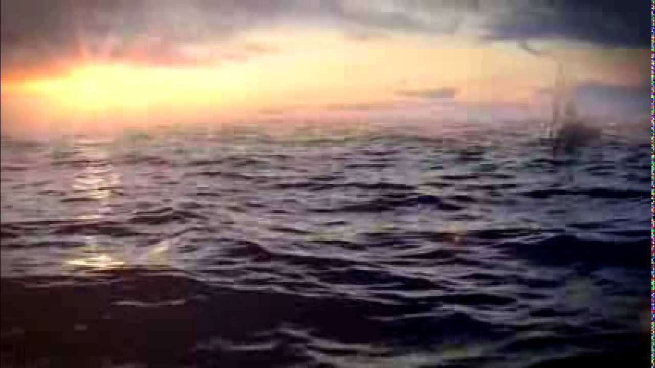 Reef Shot Gameplay Trailer 2012 - YouTube