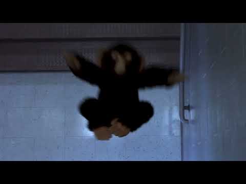 sad monkey music video (I'm so sick by flyleaf)
